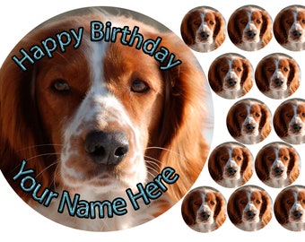 Springer Spaniel Cake Topper - Etsy UK