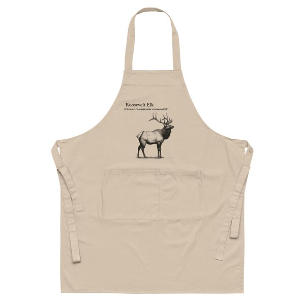 Foraging Apron - Etsy