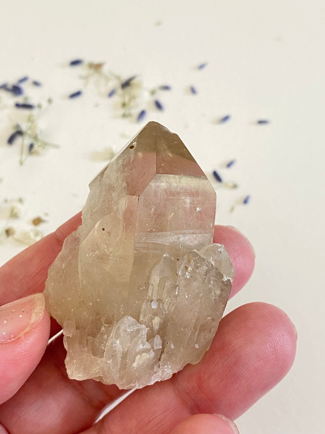 Natural Citrine Cluster From the Congo Kundalini Citrine Cluster Lwena ...