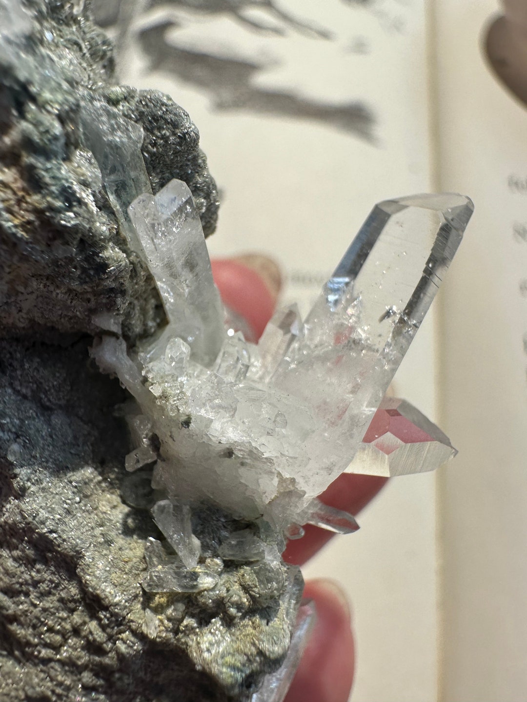 HIGH QUALITY Lemurian Quartz With Chlorite in Matrix, Water Clear ...