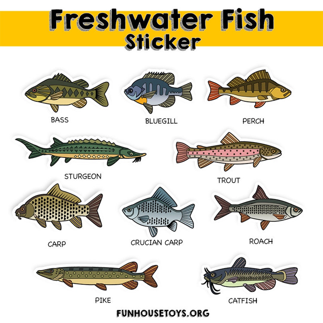 Lake and River Fish Freshwater Fish Sticker - Etsy