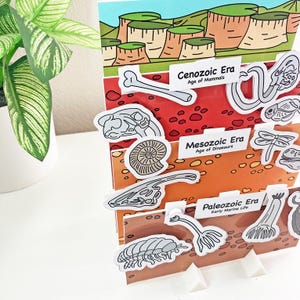 3D Fossil Layers Model – Interactive Geology Learning Tool -STEM for ...