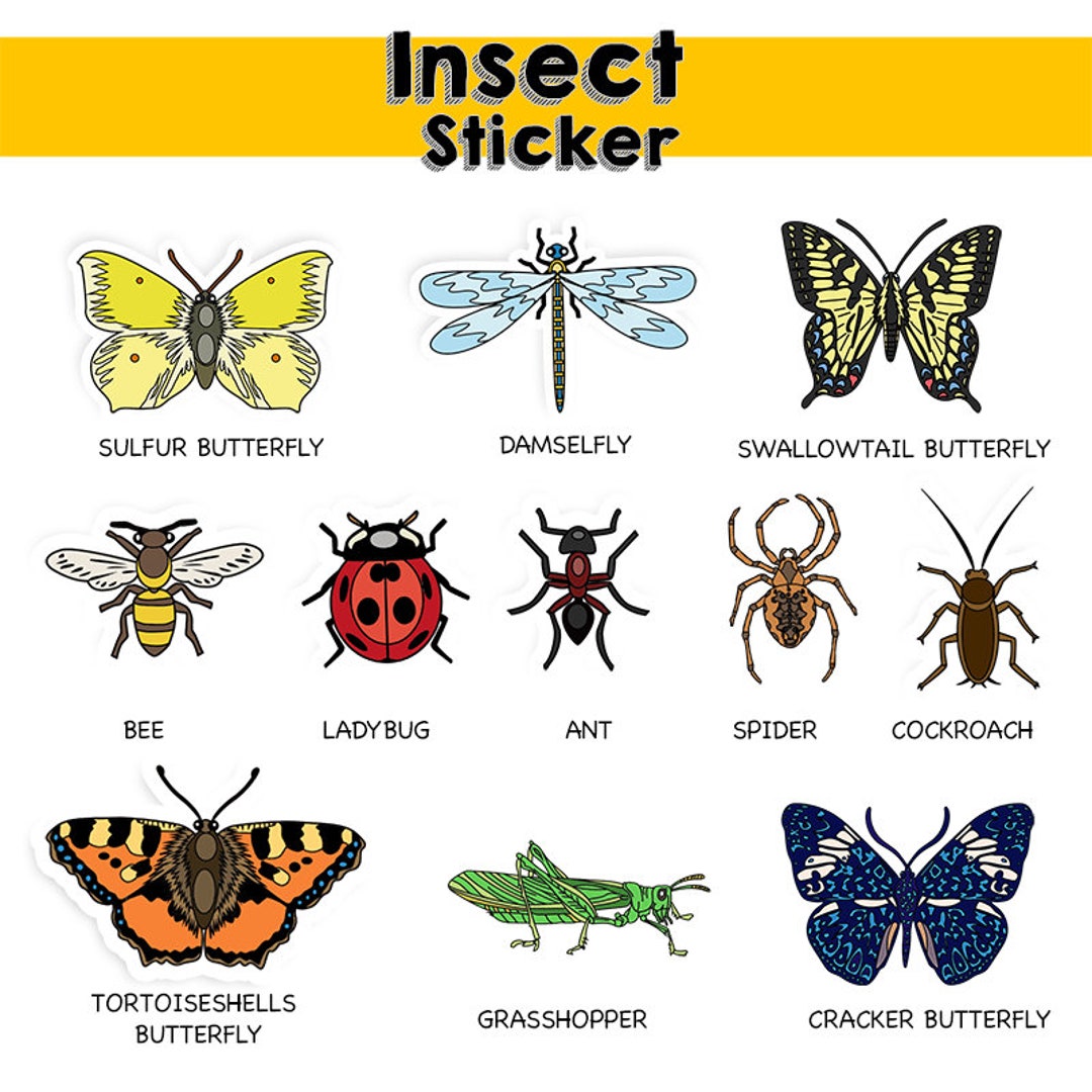 Insect Sticker Set Sticker Set for Kids Party Favor, Sticker ...