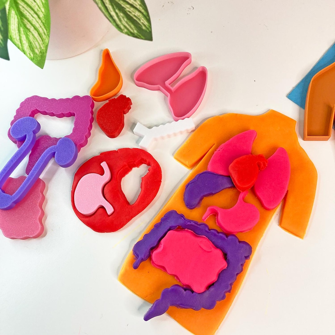Human Body Organs Play Dough Stencil Kit – Sculpt, Place & Discover ...