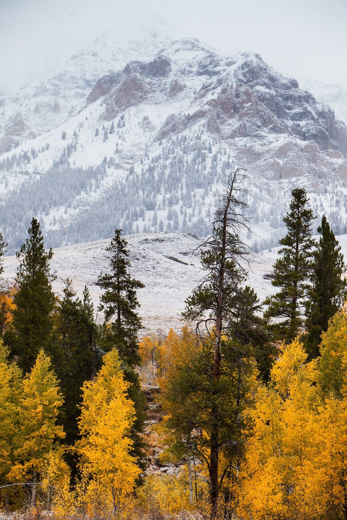 First Snow & Fall Colors #1, Boulder Mountains, Idaho | Landscape ...