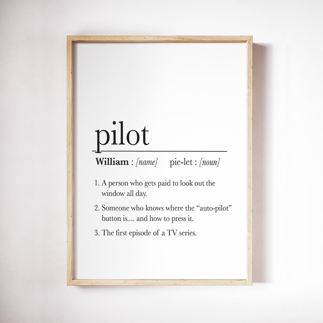 Aviation Gifts Personalized, Aviation Decor, Funny Pilot Definition ...