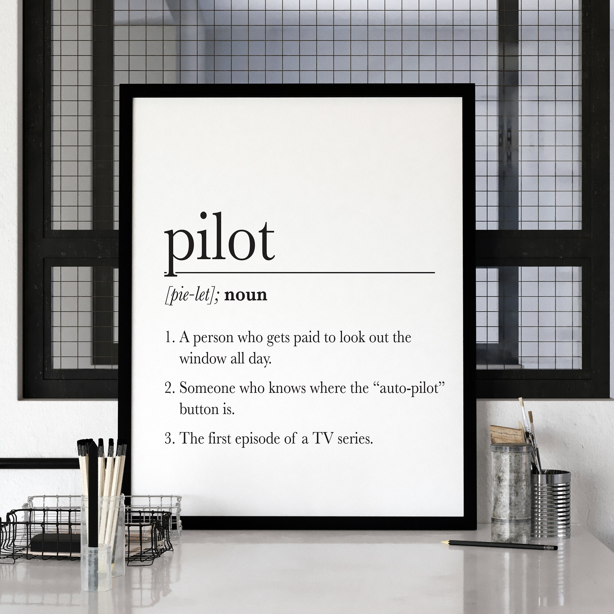 Pilot Gifts, Aviation Gifts, Aviation Decor, Funny Pilot Definition ...