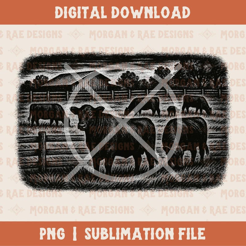 Angus Bull Decal - Etsy