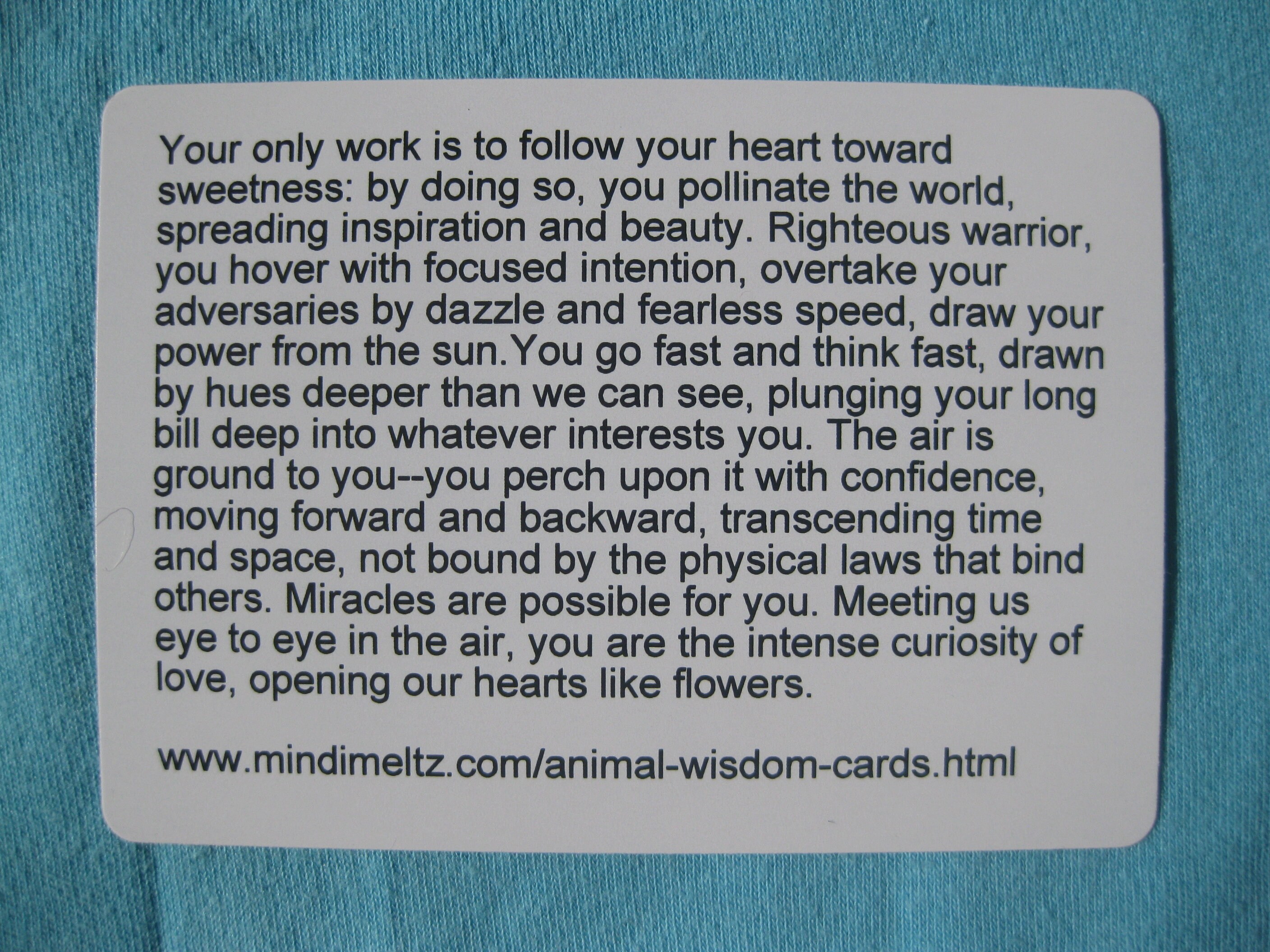 Bird Spirit Divination Deck - Etsy