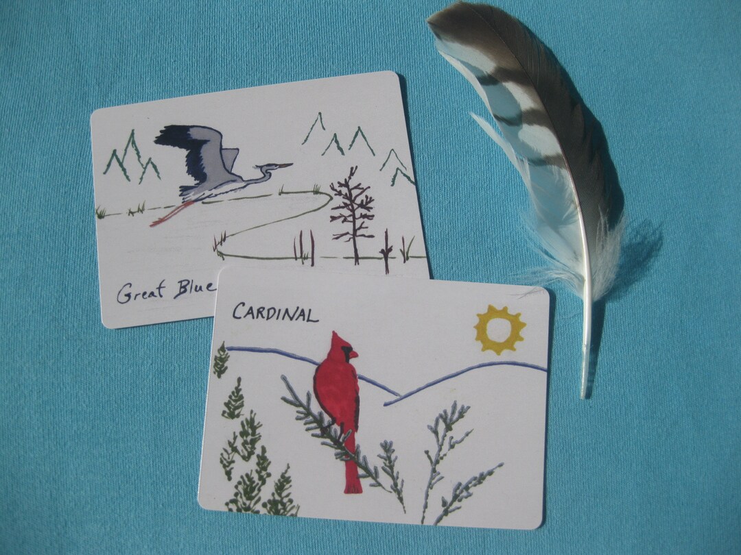 Bird Spirit Divination Deck - Etsy