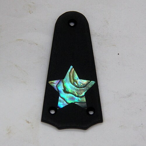 Truss Rod Cover With Raven Silhouette Inlay Will Fit PRS - Etsy