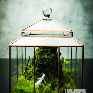 The Penthouse, Stain Glass Terrarium, International Exclusive by ...