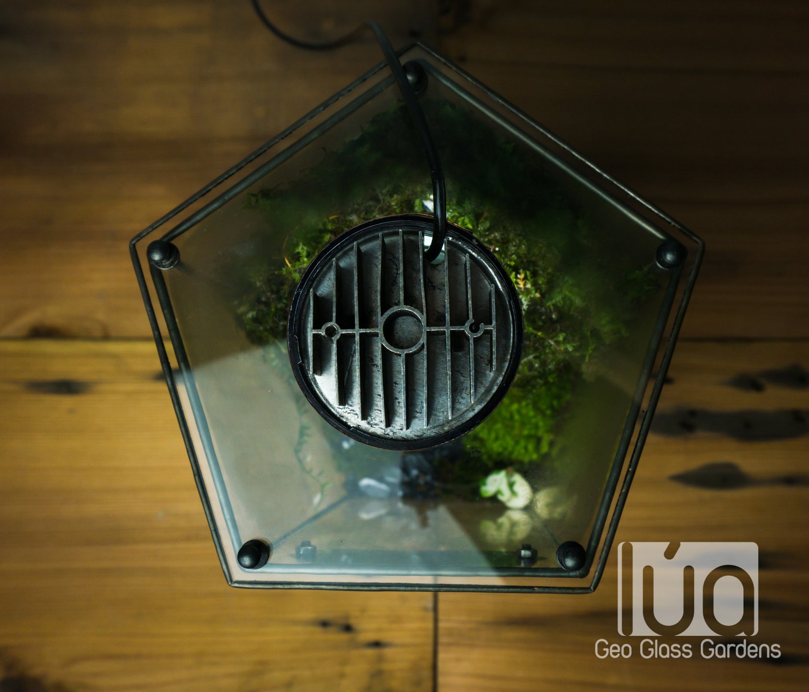 VAUBAN Castle - Stain Glass Terrarium, Ready to Fly (only Box, Plants ...