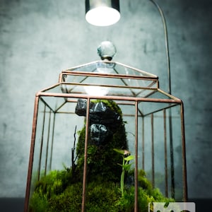 The Penthouse, Stain Glass Terrarium, International Exclusive by ...