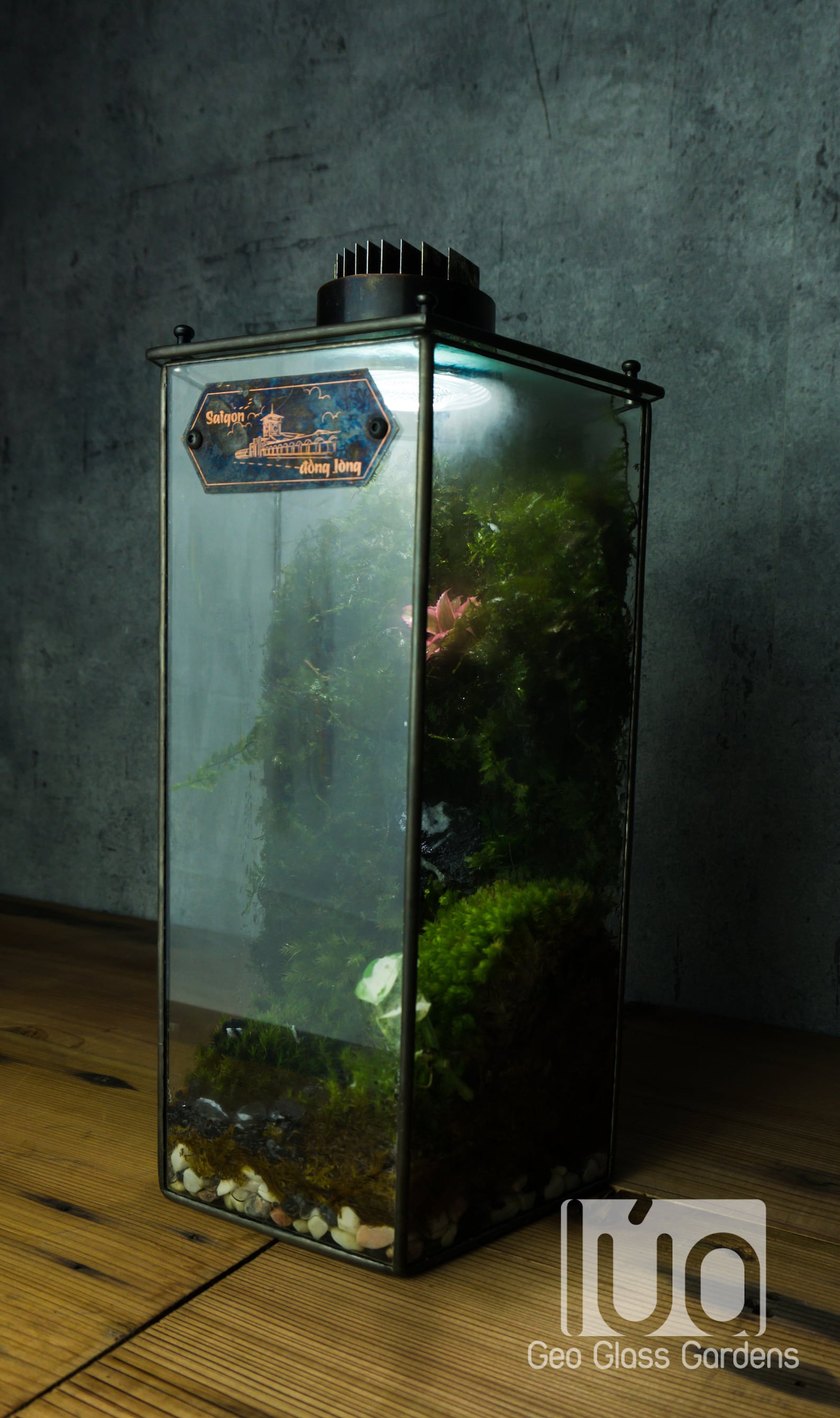 VAUBAN Castle - Stain Glass Terrarium, Ready to Fly (only Box, Plants ...