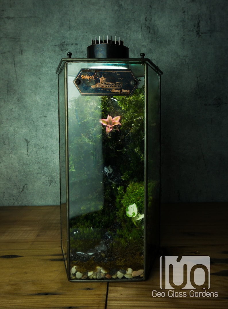 VAUBAN Castle Stain Glass Terrarium Ready to Fly only Box - Etsy