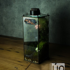 VAUBAN Castle - Stain Glass Terrarium, Ready to Fly (only Box, Plants ...