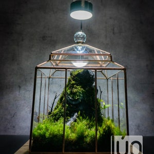 The Penthouse, Stain Glass Terrarium, International Exclusive by ...