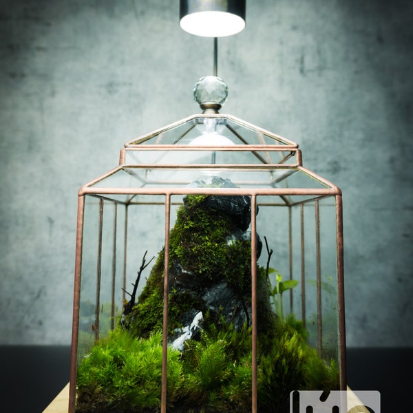 Glass Terrarium - Etsy