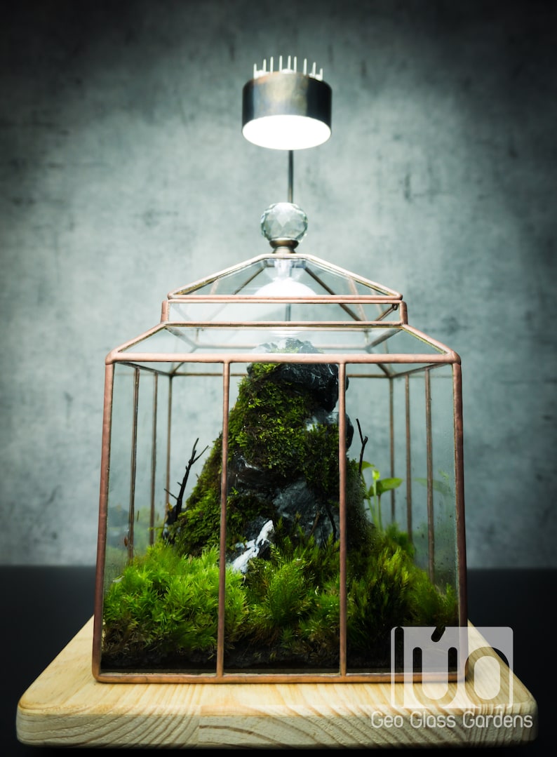 The Penthouse, Stain Glass Terrarium, International Exclusive by ...