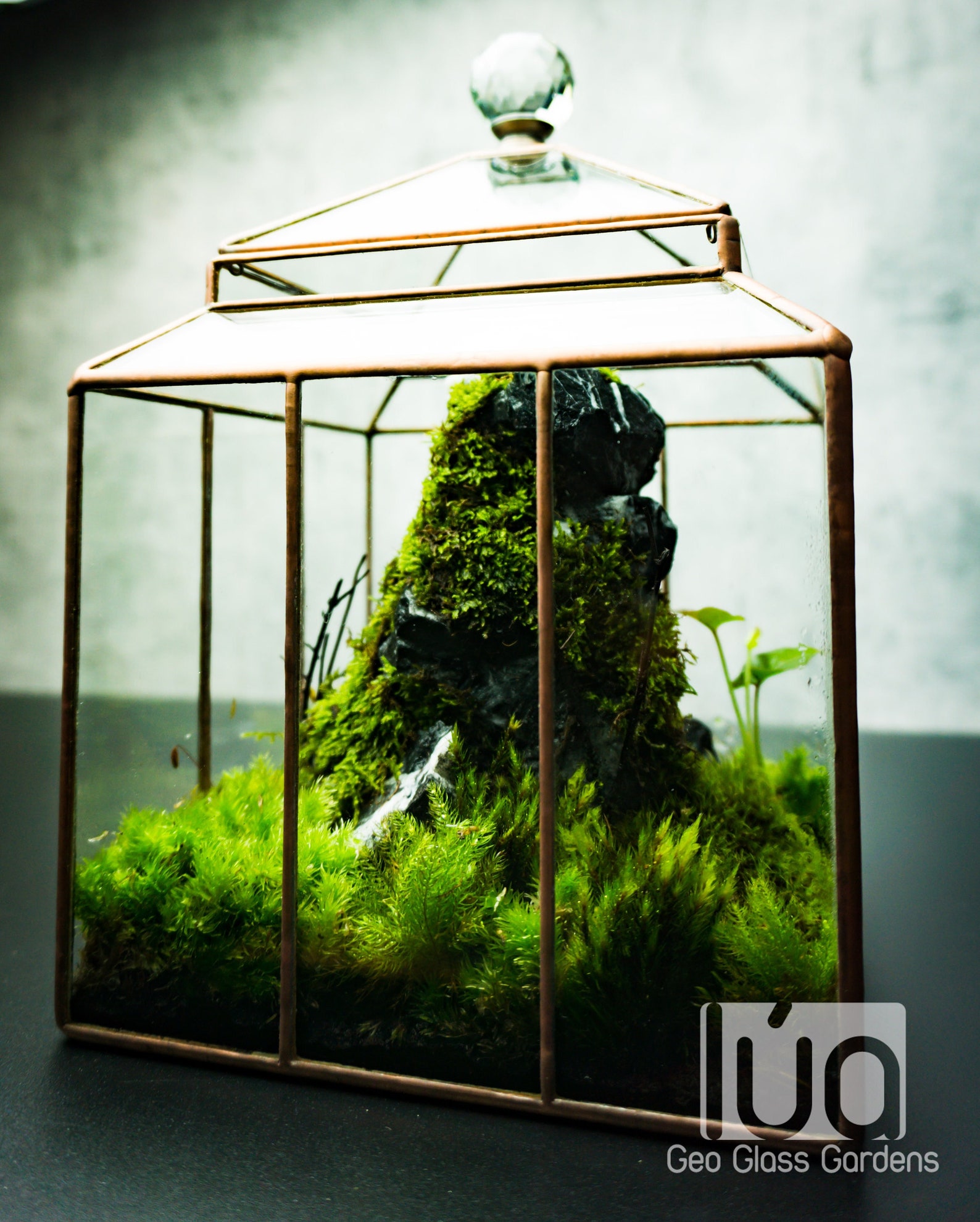 The Penthouse Stain Glass Terrarium International Exclusive - Etsy