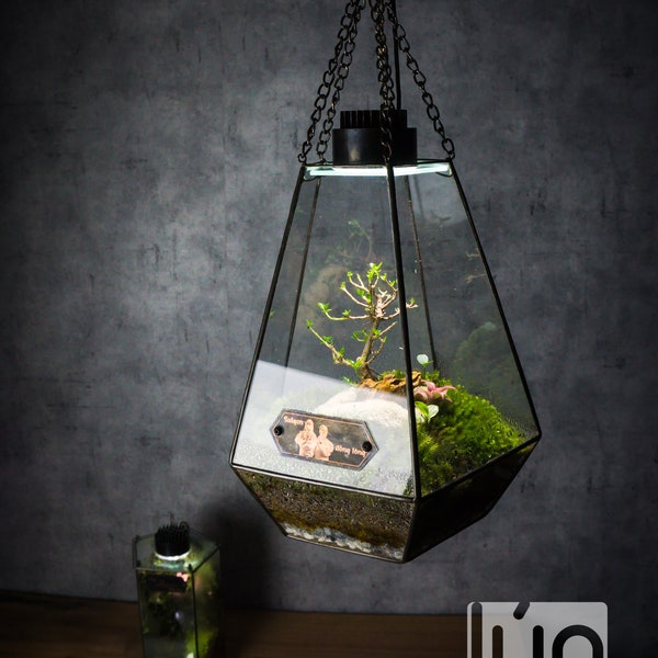 Hanging Terrarium - Etsy