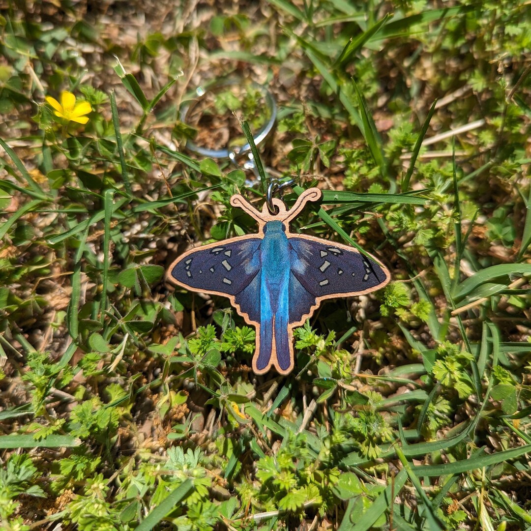 Butterfly (long-tailed Skipper)key Chain- Wooden - Etsy