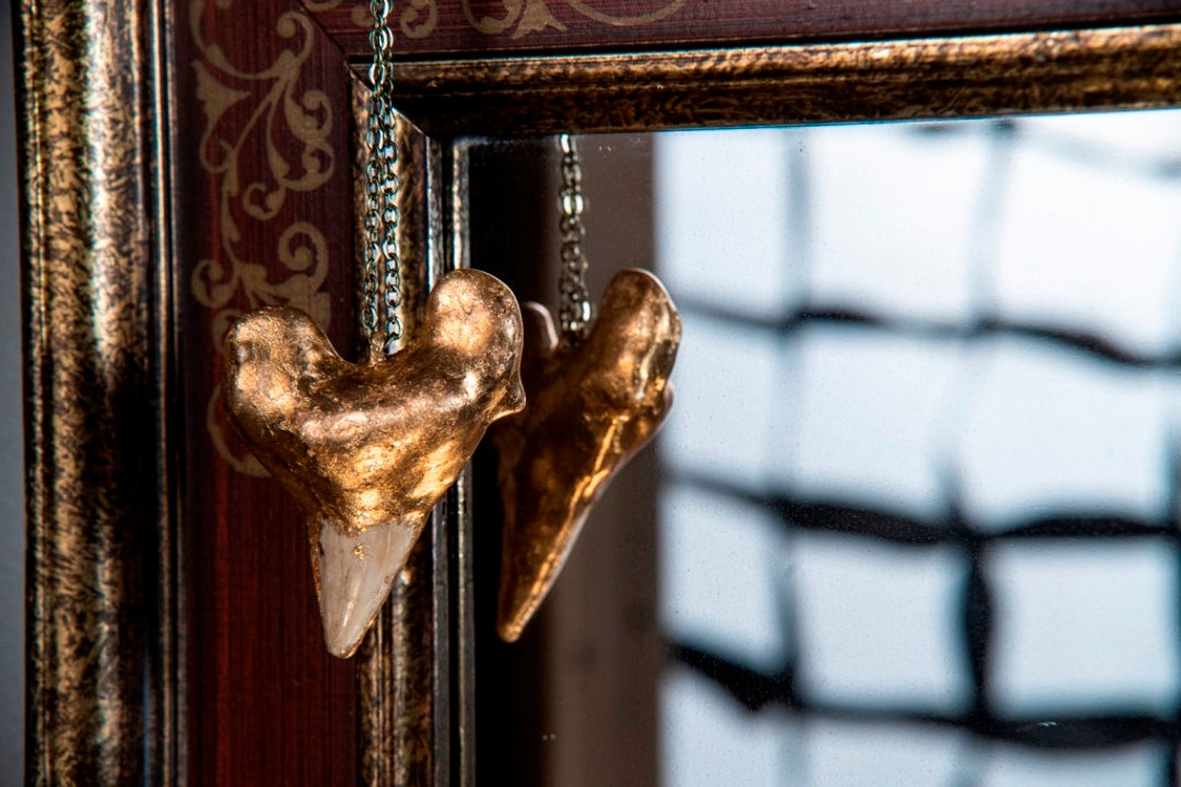 Odotus Fossil Gold 2-3" Shark Tooth on 32" Chain - Etsy