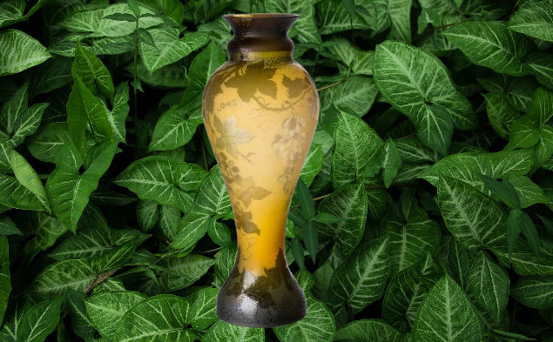 Vinifera Vase Galle Type - Etsy