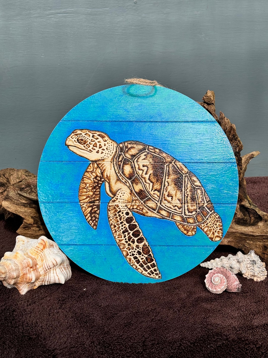Sea Turtle Mixed Media Display Board, Wood, Pyrography, Acrylic - Etsy