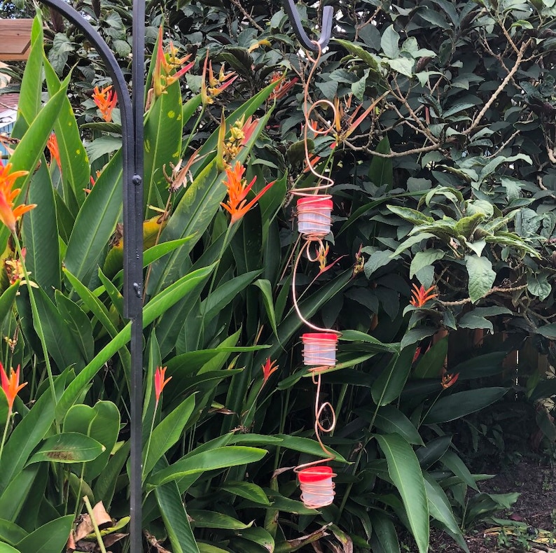 Hummingbird Feeder Copper Hanging | Etsy
