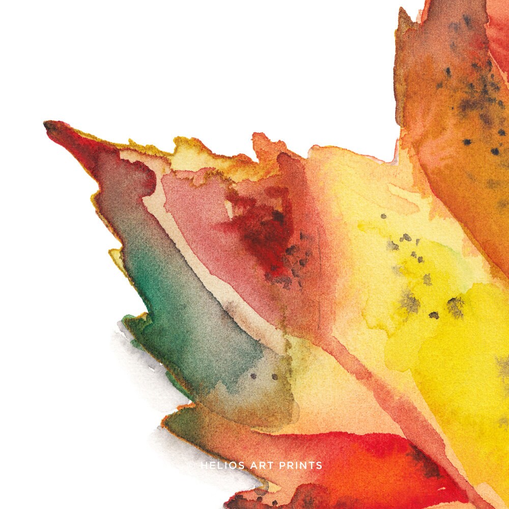 Set of 3 Fall Leaf Watercolor Prints. Three Piece Watercolour - Etsy