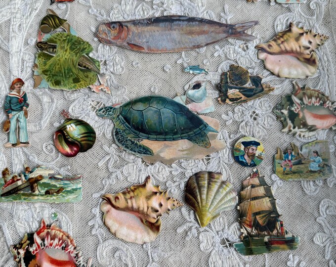 Victorian Paper Seaside Shells Album Scrapbooking Scraps, Decoupage ...