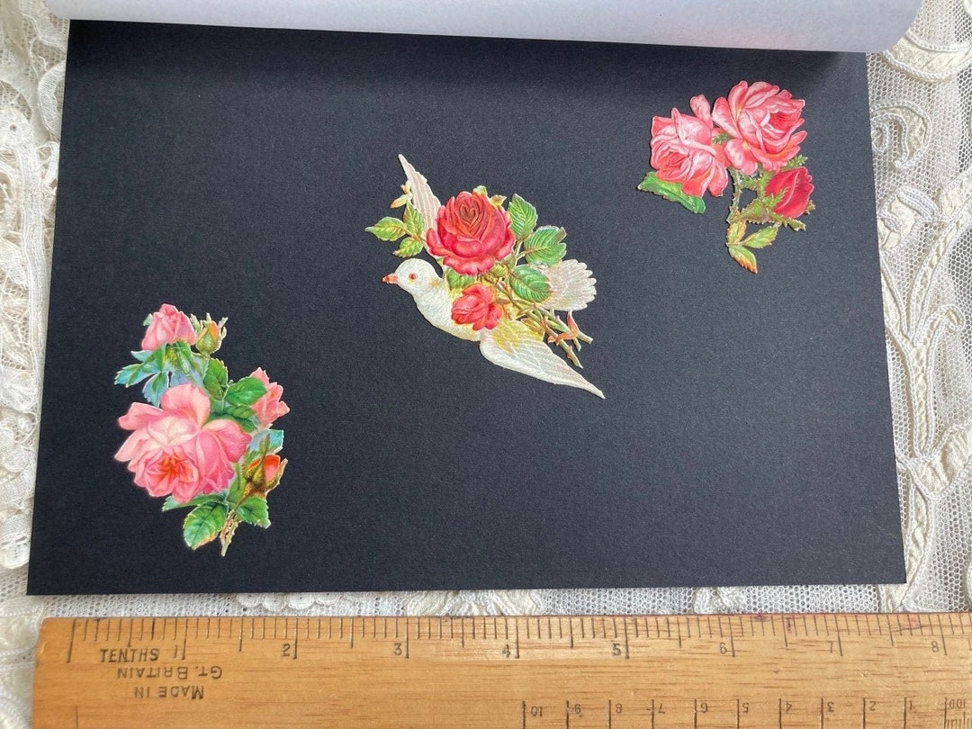 Rare album de scraps chromo 1850 en relief - Oiseaux et colombes - Etsy ...