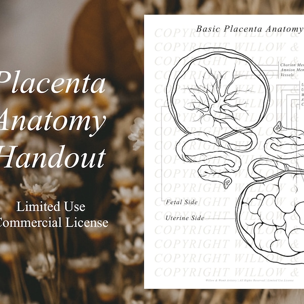 Placenta - Etsy