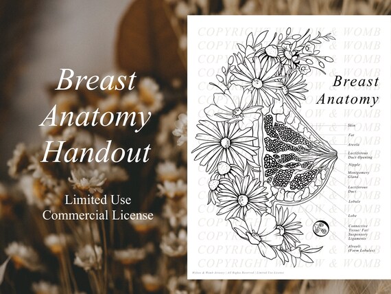 INSTANT DOWNLOAD Professional Use Coloring Page Pregnancy - Etsy