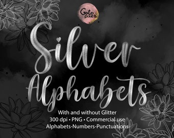 Silver South Script Font - Etsy