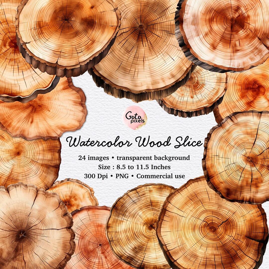 Watercolor Wood Slice Clipart: PNG Forest Decor (digital Download) - Etsy