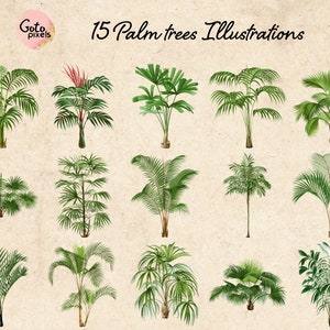 15 Vintage Tropical Trees Clipart, Palm Trees PNG, Beach Trees ...