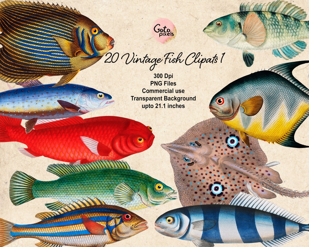 Fish Clipart, Fishing Clipart, Nautical Clipart, Fish Digital Download ...