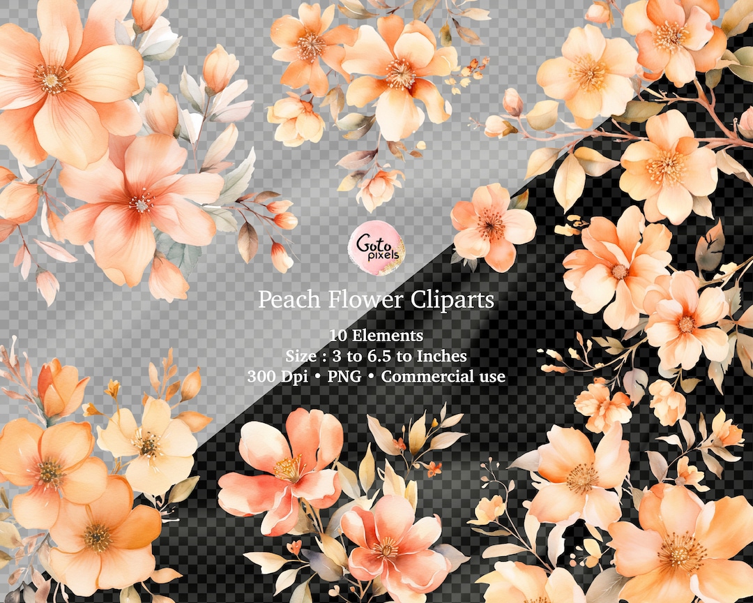 Peach Watercolor Flower Clipart Set: Botanical Wedding Illustrations ...