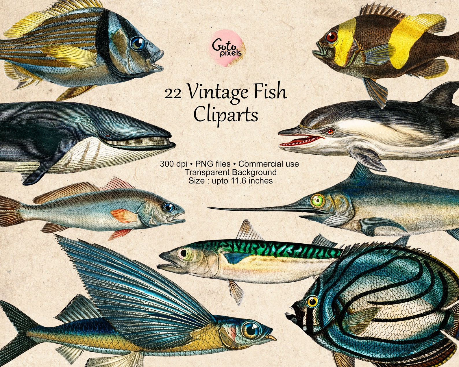 Fish Clipart Fishing Clipart Nautical Clipart Fish Digital - Etsy
