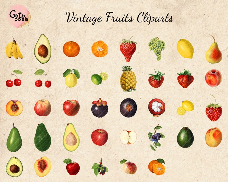 Vintage Fruits Clipart: 38 PNG Images, Transparent Background (digital ...
