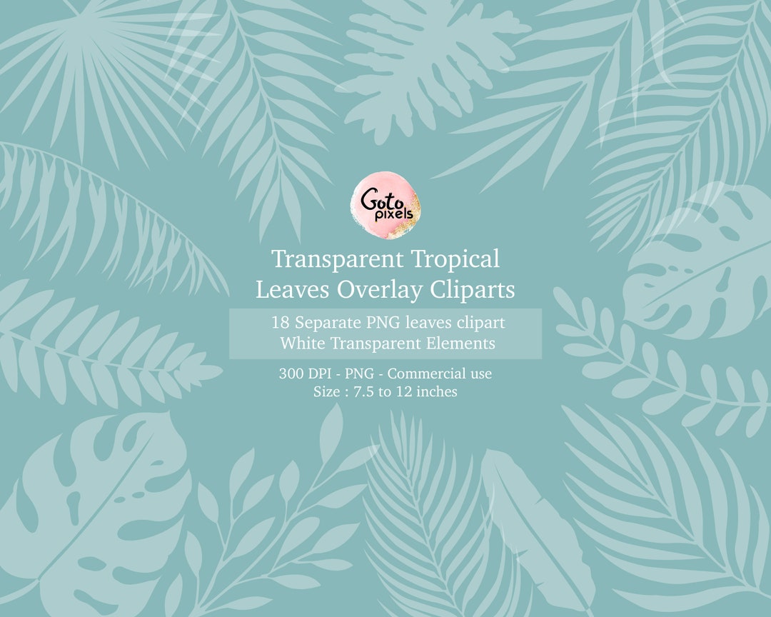 White Tropical Leaf Clipart Overlays: Transparent PNG (instant Download ...