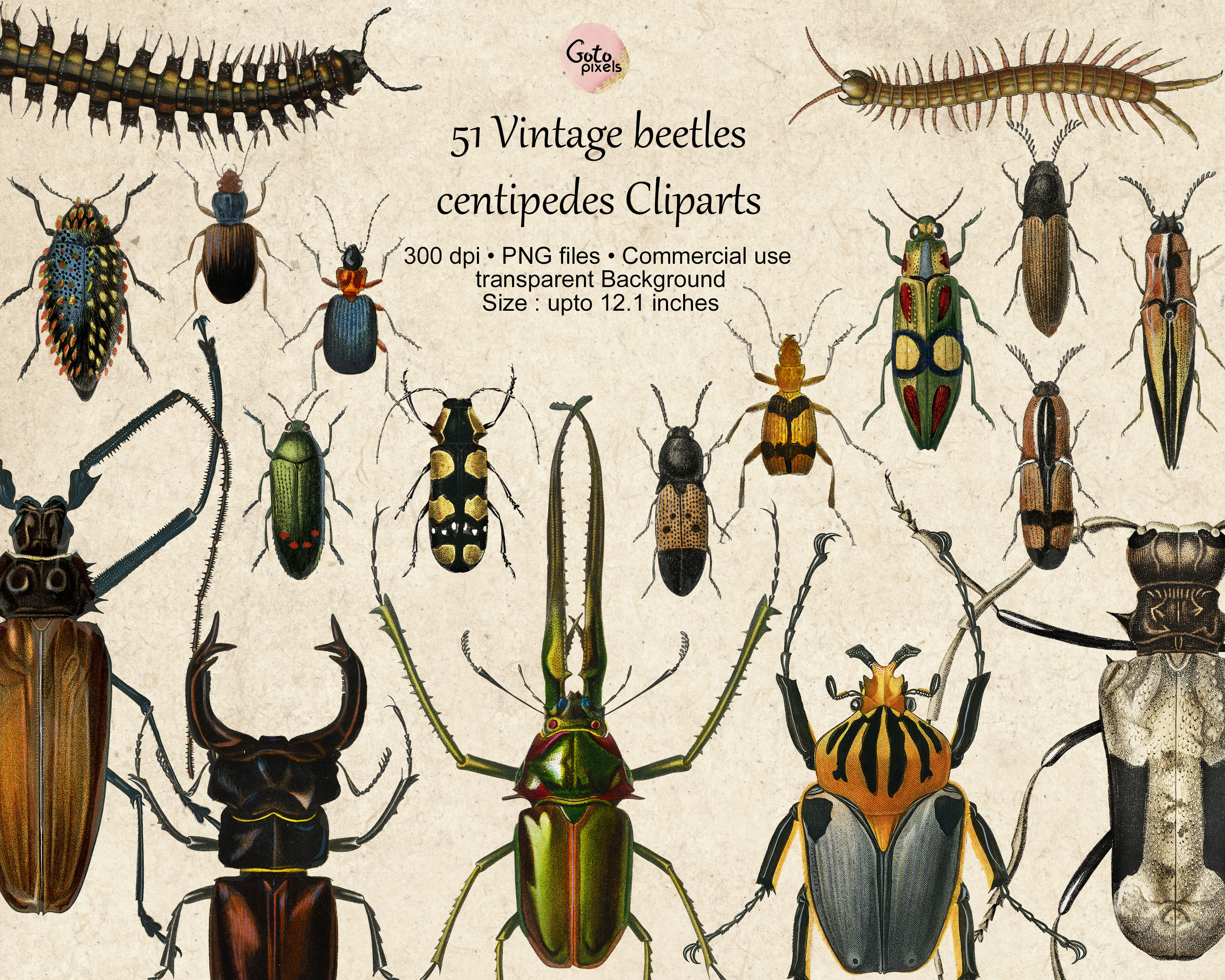 Clipart Bug Splattered