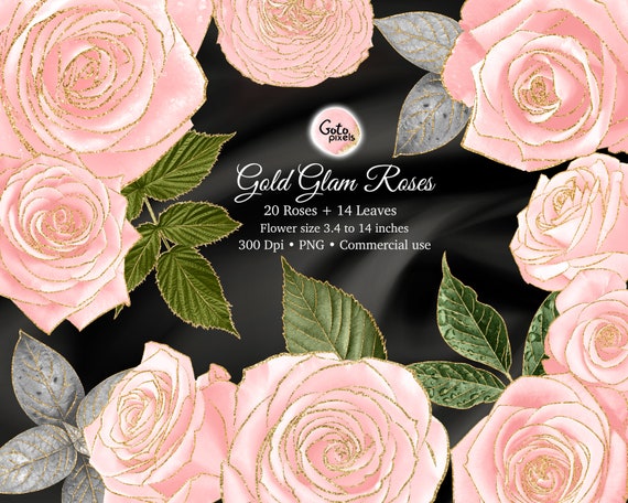 Blush Pink Glam Rose Clip Art Descarga instantánea digital de - Etsy México