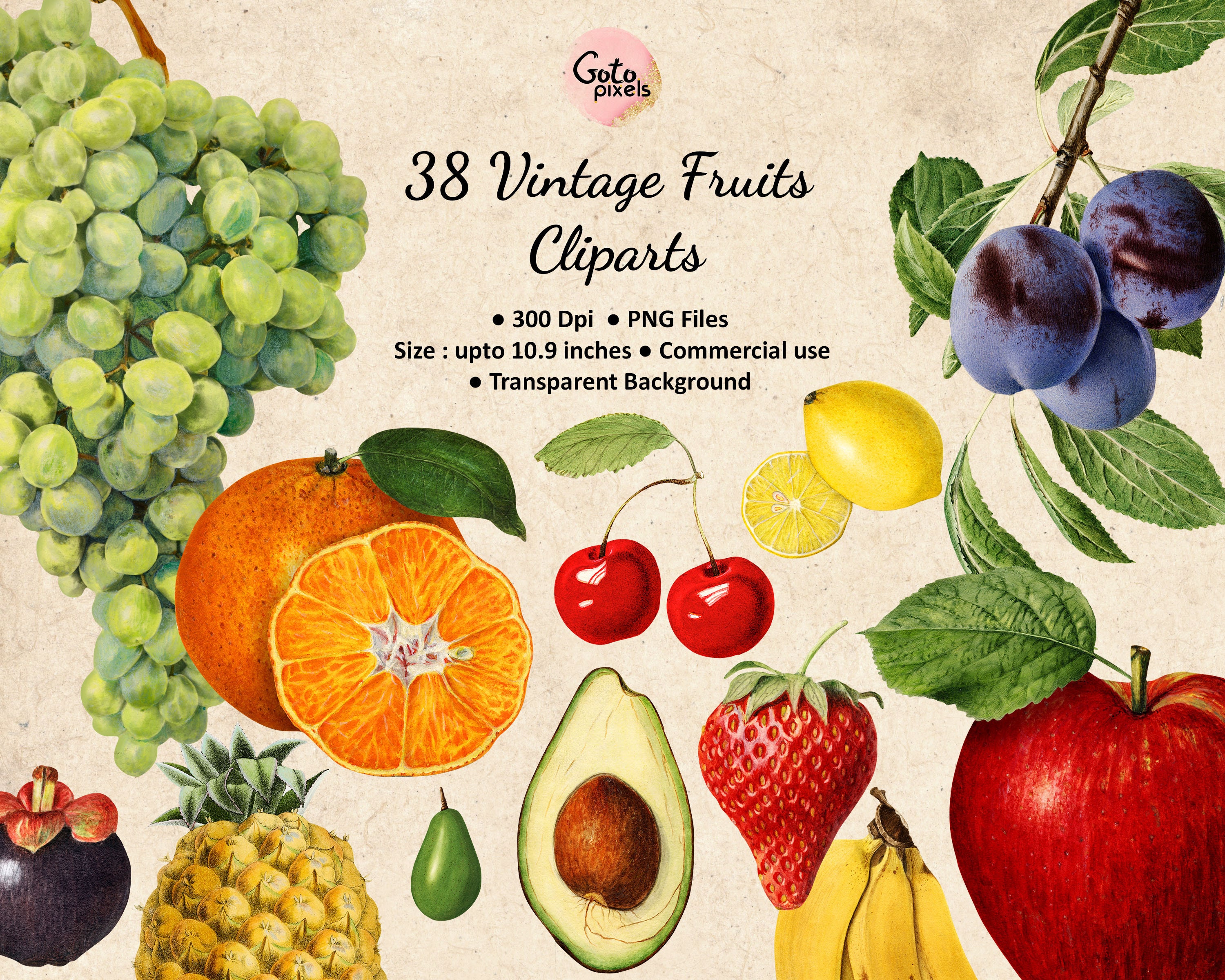 Vintage FRUITS Clipart Digital Download PNG Fruits Vintage - Etsy