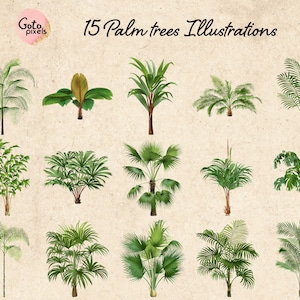 15 Vintage Tropical Trees Clipart, Palm Trees PNG, Beach Trees ...
