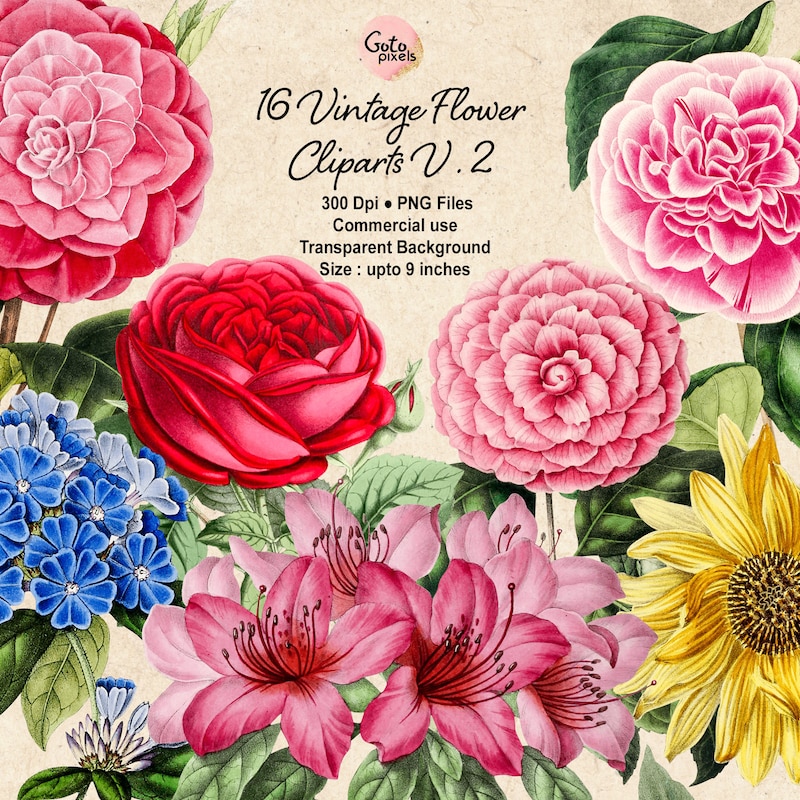 Pink Flower Clip Art - Etsy