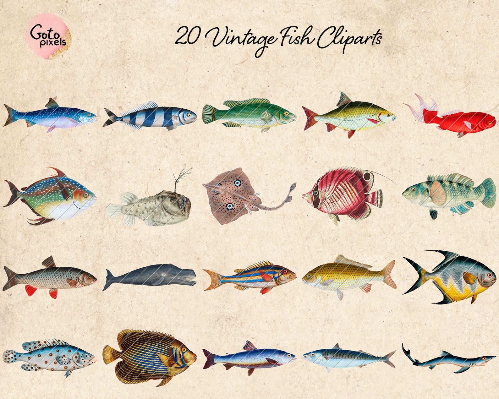 Fish Clipart Fishing Clipart Nautical Clipart Fish Digital - Etsy